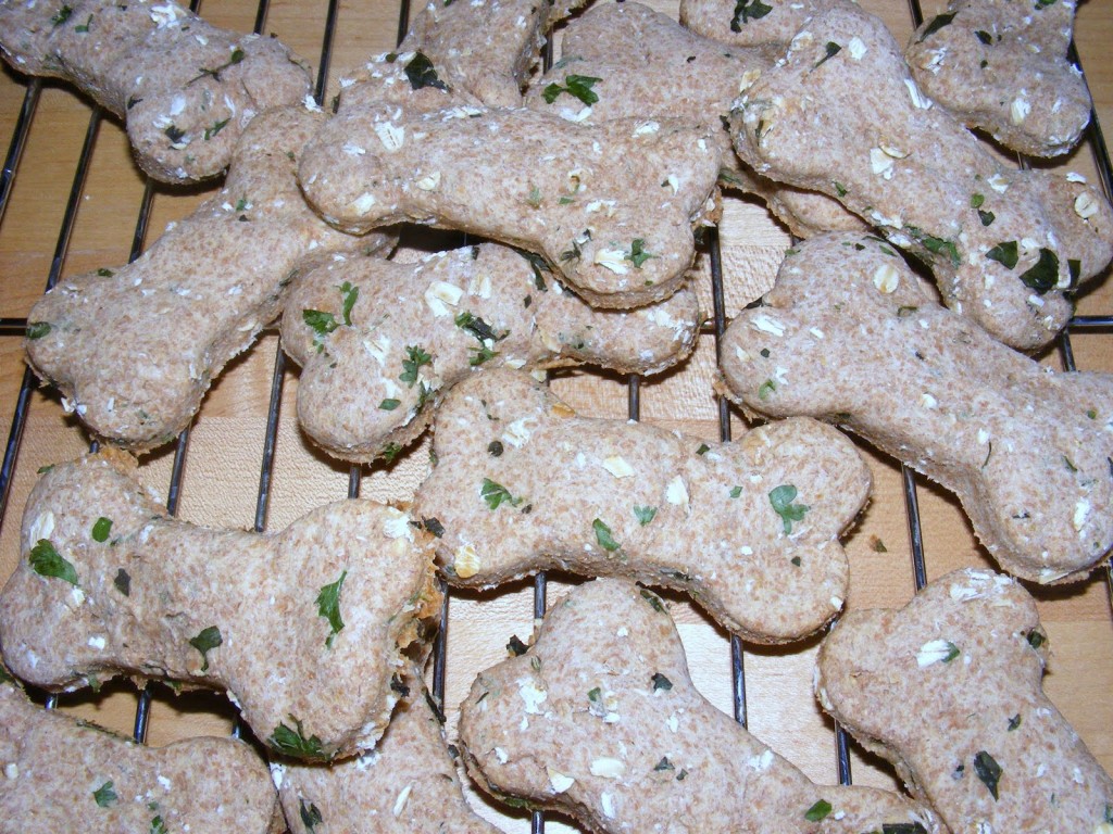 How to make Homemade Dog Treat Biscuits - Going Evergreen